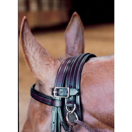 Chambon Training Aid